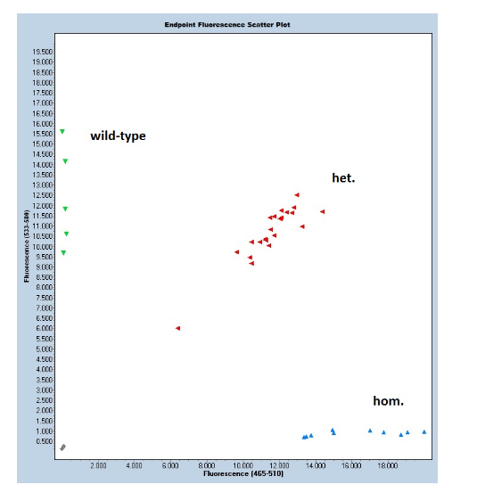 Genotyping: Endpoint/Probe Analysis